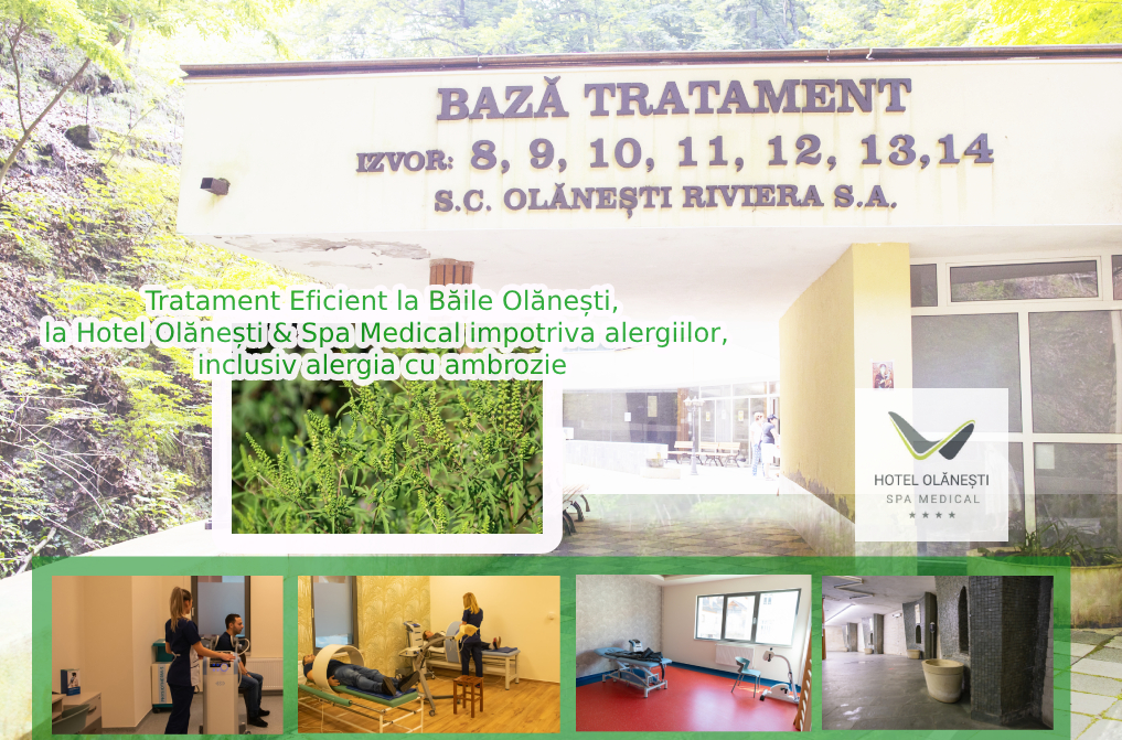 Acasa - Hotel Olanesti